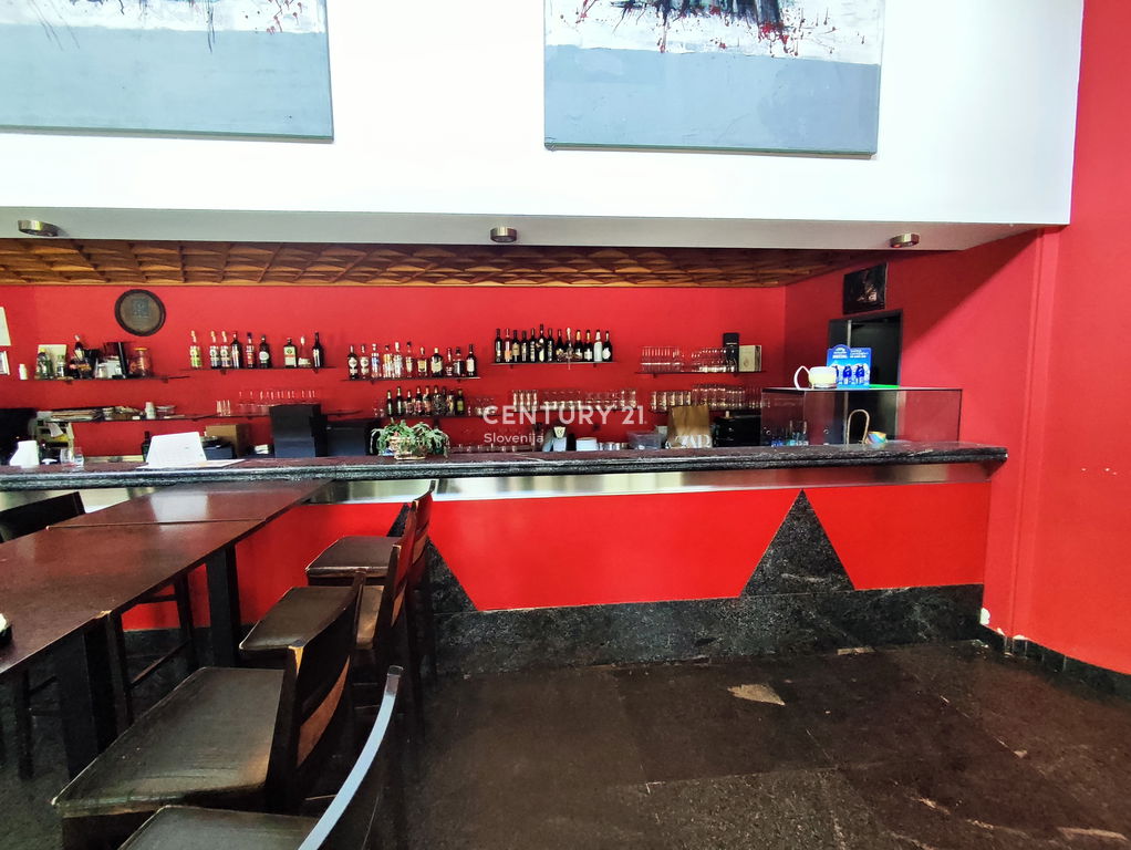 Prodaja, Poslovni prostor, Gostinski lokal, Goriška, Nova Gorica, Rožna Dolina, 299 m2